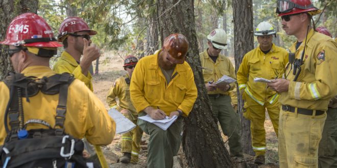 How a U.S. Forest Service Special Agent busted a serial Arsonist ...