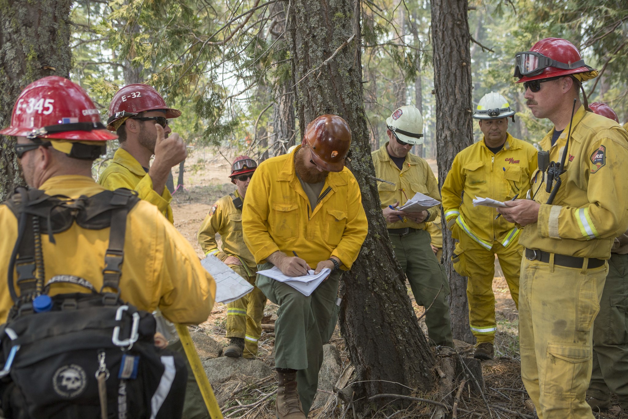 How a U.S. Forest Service Special Agent busted a serial Arsonist ...